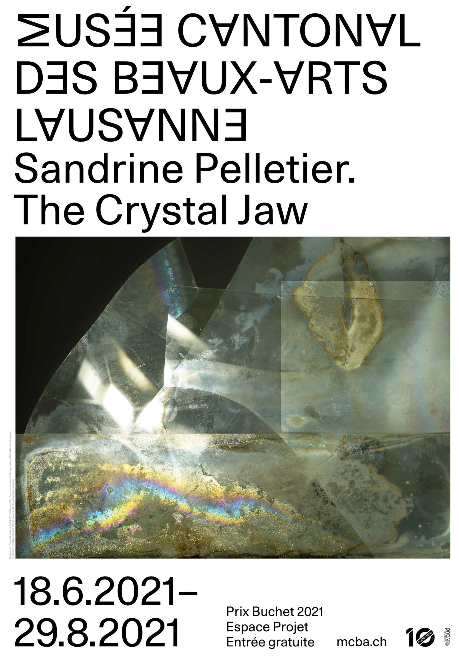 Sandrine Pelletier. The Crystal Jaw Prix Gustave Buchet 2021 - Musée ...